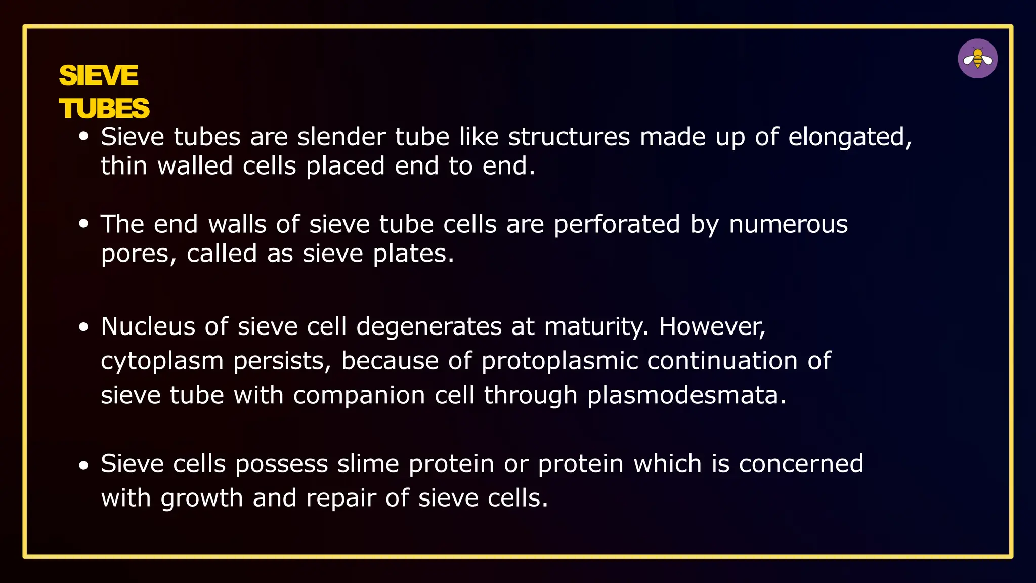 761161282-Class-9th-TISSUES-Prashant-Kirad.pptx
