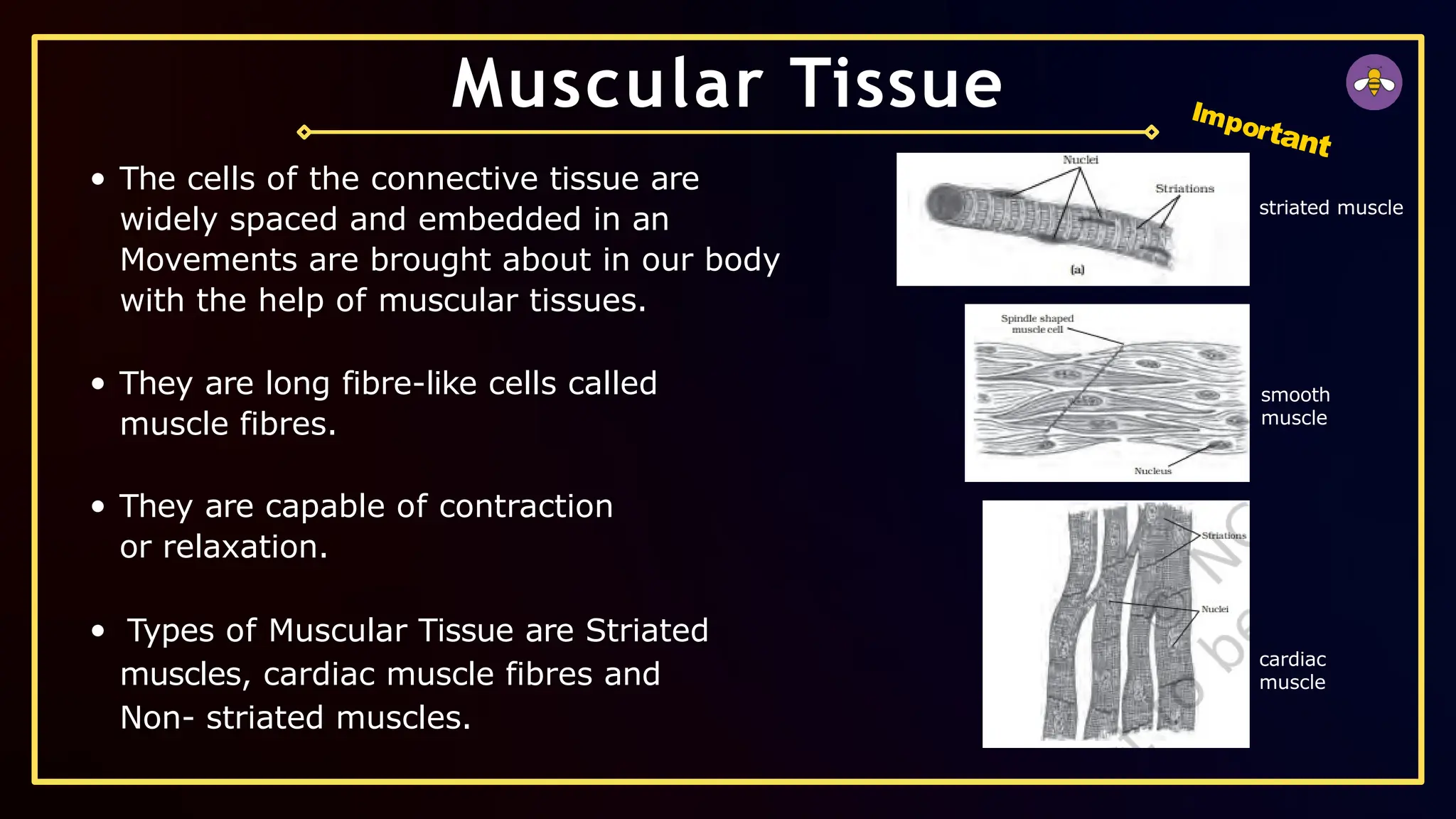 761161282-Class-9th-TISSUES-Prashant-Kirad.pptx