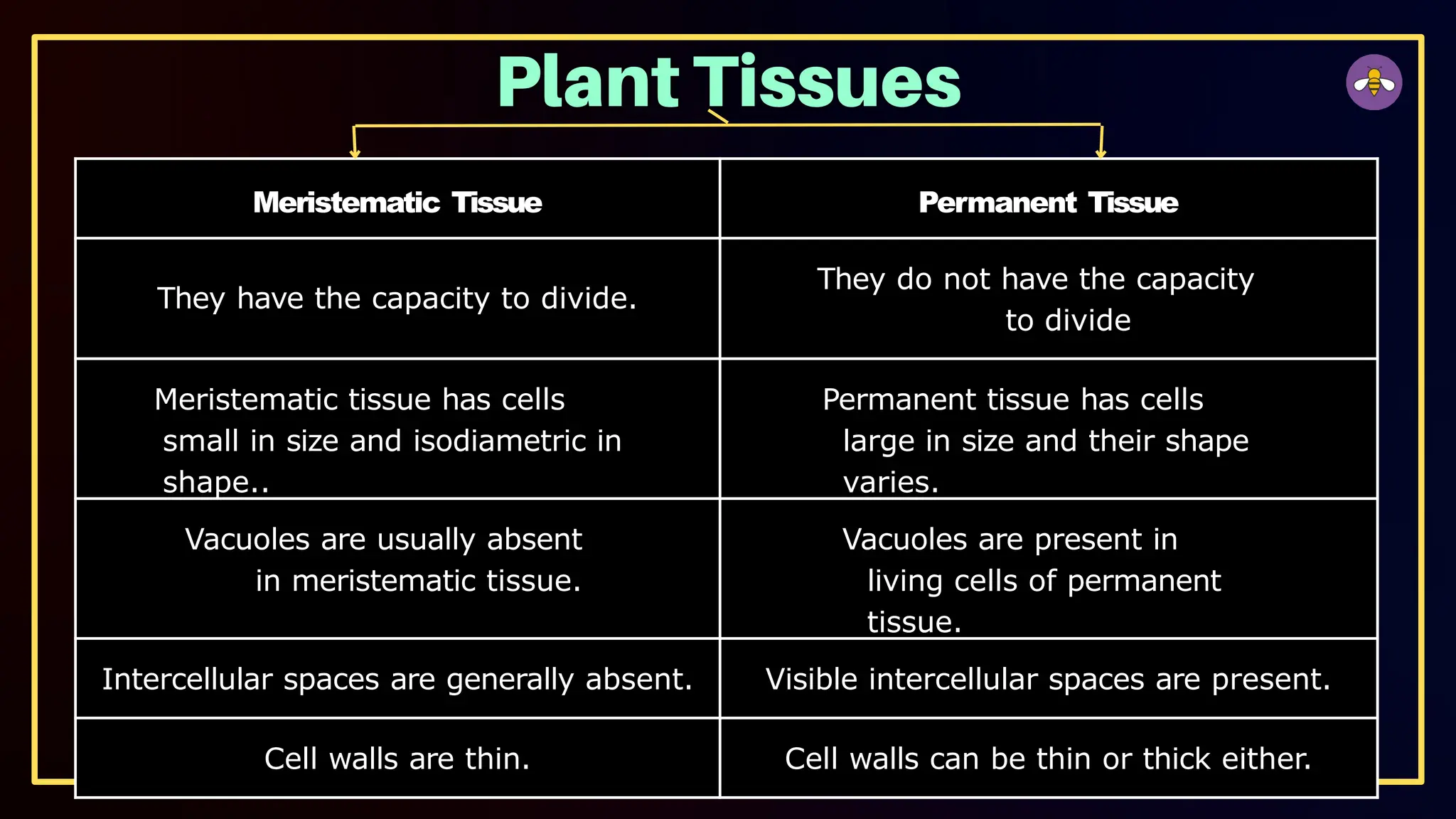 761161282-Class-9th-TISSUES-Prashant-Kirad.pptx