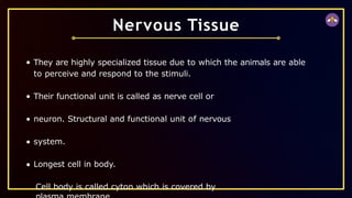 761161282-Class-9th-TISSUES-Prashant-Kirad.pptx