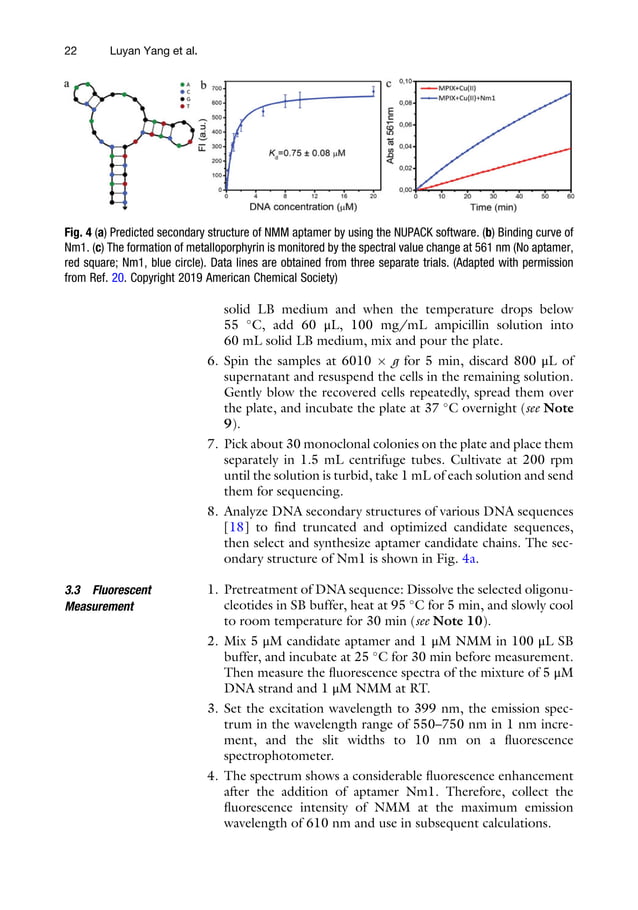 DNAzymes Gerhard Steger Hannah Rosenbach Ingrid Span | PDF