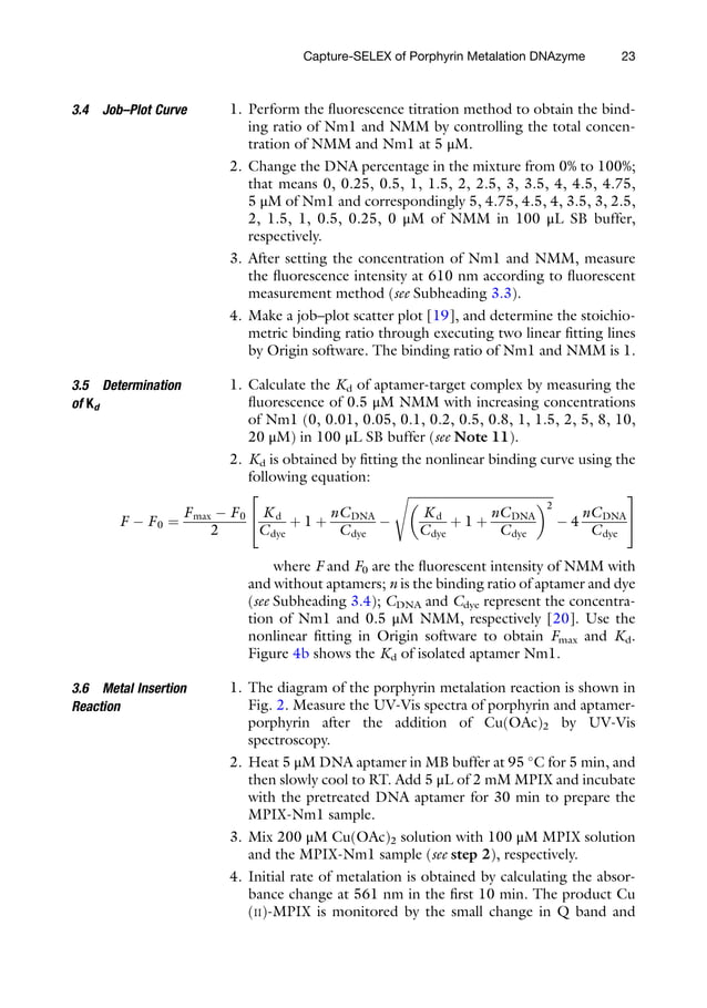 DNAzymes Gerhard Steger Hannah Rosenbach Ingrid Span | PDF