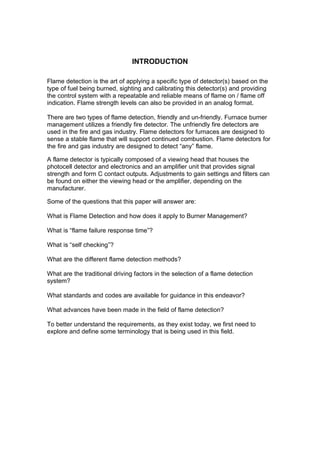 Burner Management Flame Detection Requirements and Exceptions | PDF