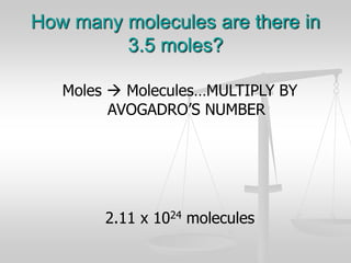 7648568.ppt