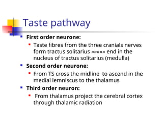 764912993-13-Physiology-of-Taste-and-Smell.ppt