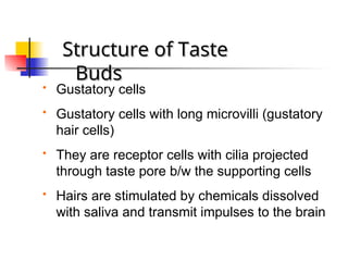 764912993-13-Physiology-of-Taste-and-Smell.ppt