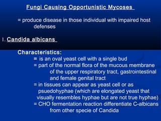 7653355 deep-mycoses | PPT