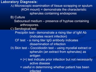 7653355 deep-mycoses | PPT