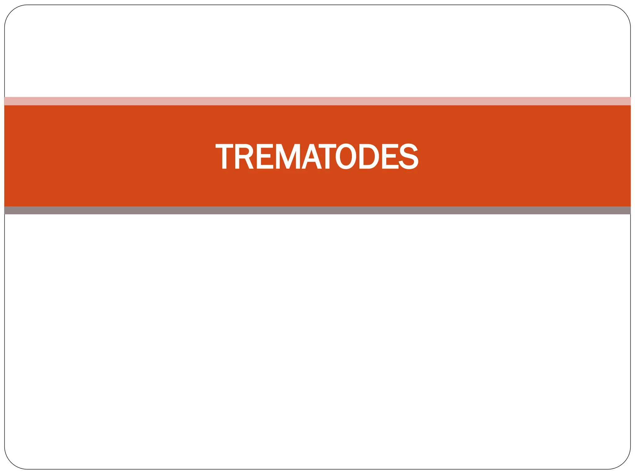 Trematodes flukes faltworms platyhelminthes.ppt