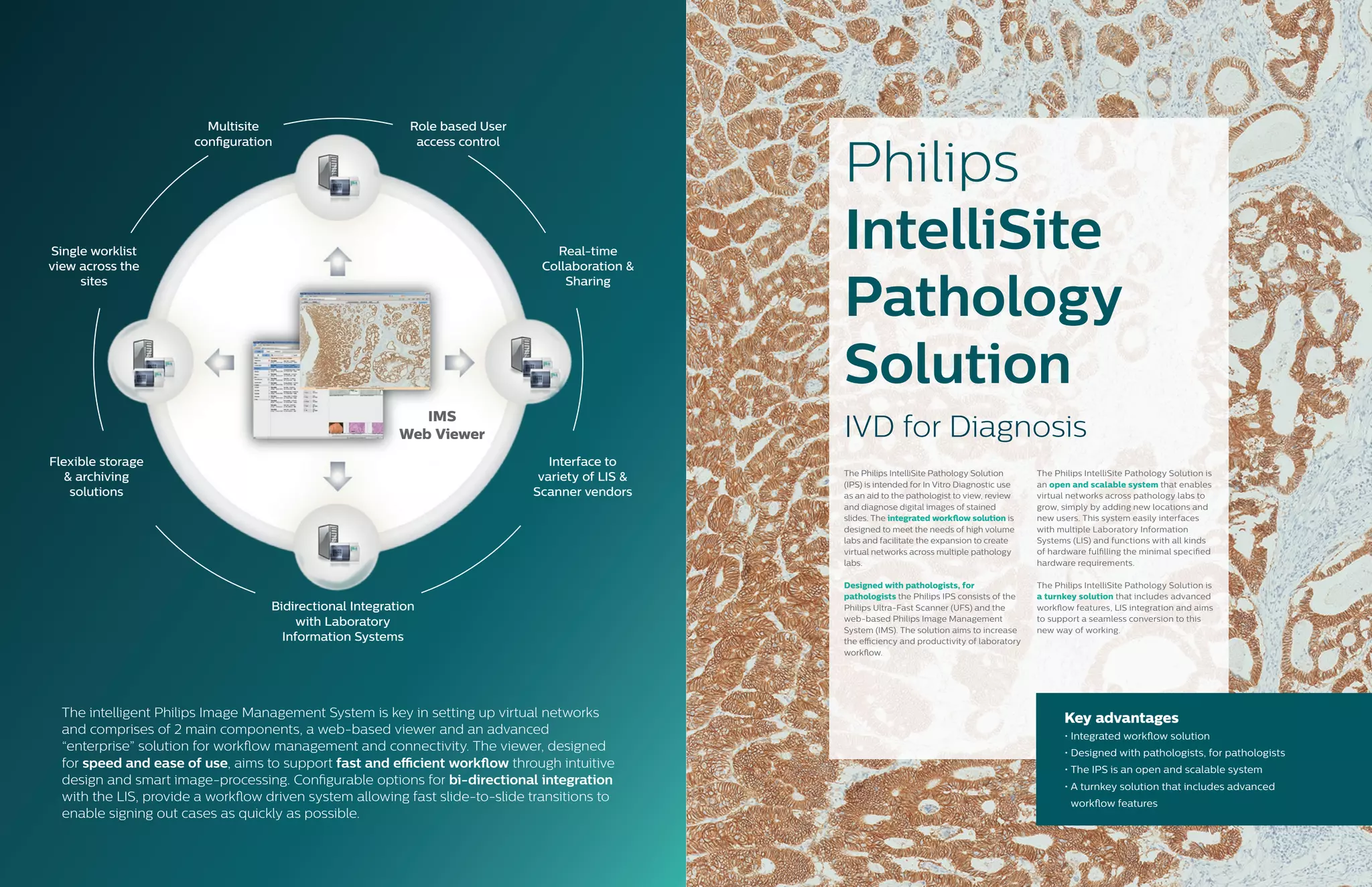 Philips IntelliSite Pathology Solution_Brochure | PDF