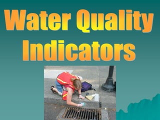 Water Quality Indicators substances found in water.ppt