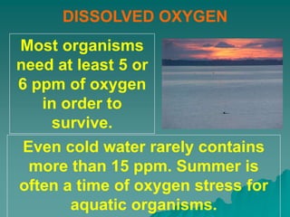 Water Quality Indicators substances found in water.ppt