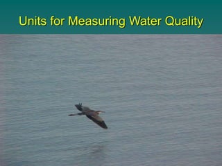 Water Quality Indicators substances found in water.ppt