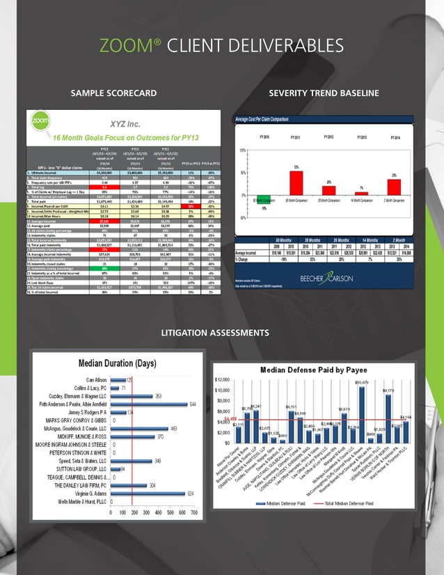 ZOOM Brochure_2015 | PDF