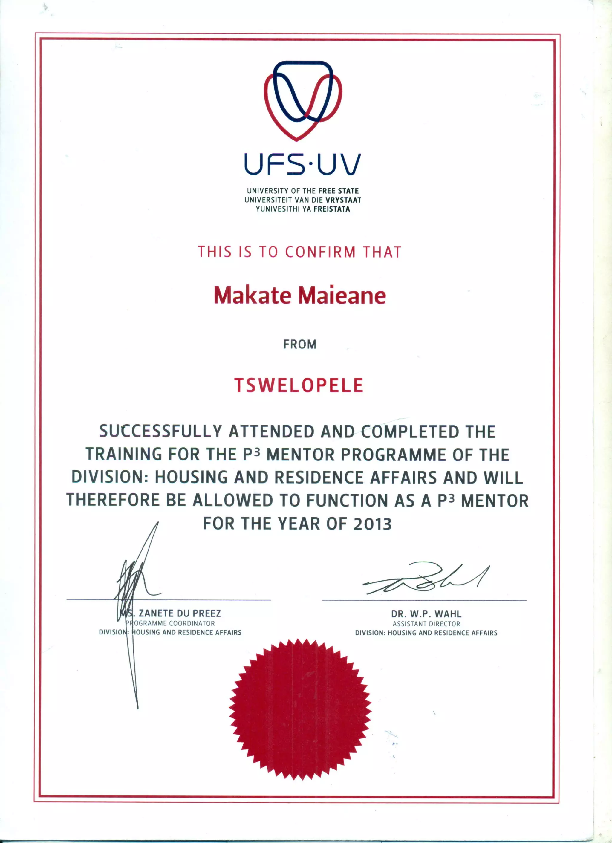 P3 Mentor Certificate | PDF
