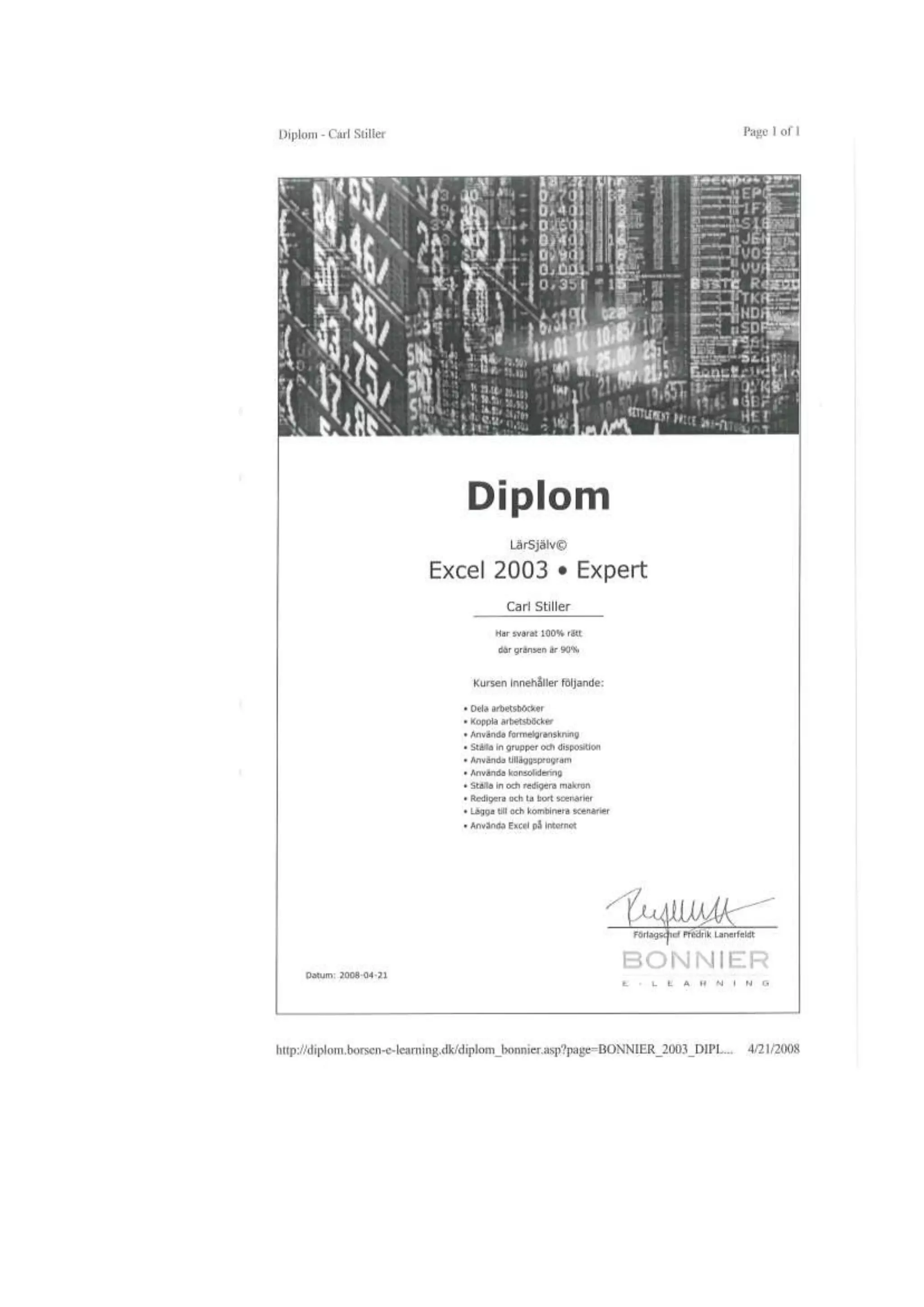 Diplom Excel expert | DOCX