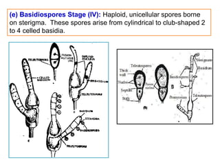 76aUFV0SlAiAaQSR866.pptx