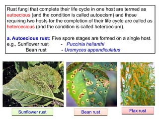 76aUFV0SlAiAaQSR866.pptx