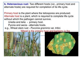 76aUFV0SlAiAaQSR866.pptx