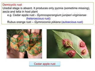 76aUFV0SlAiAaQSR866.pptx