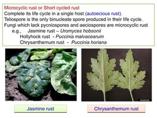 76aUFV0SlAiAaQSR866.pptx