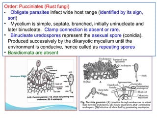 76aUFV0SlAiAaQSR866.pptx