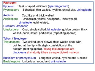 76aUFV0SlAiAaQSR866.pptx