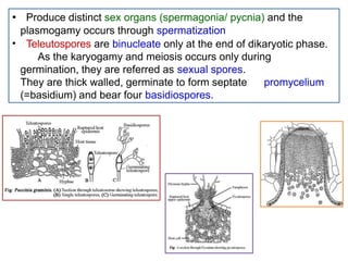 76aUFV0SlAiAaQSR866.pptx