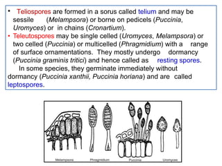 76aUFV0SlAiAaQSR866.pptx