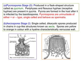 76aUFV0SlAiAaQSR866.pptx