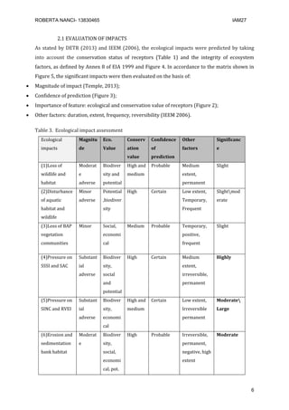 EIA scoping report - | PDF