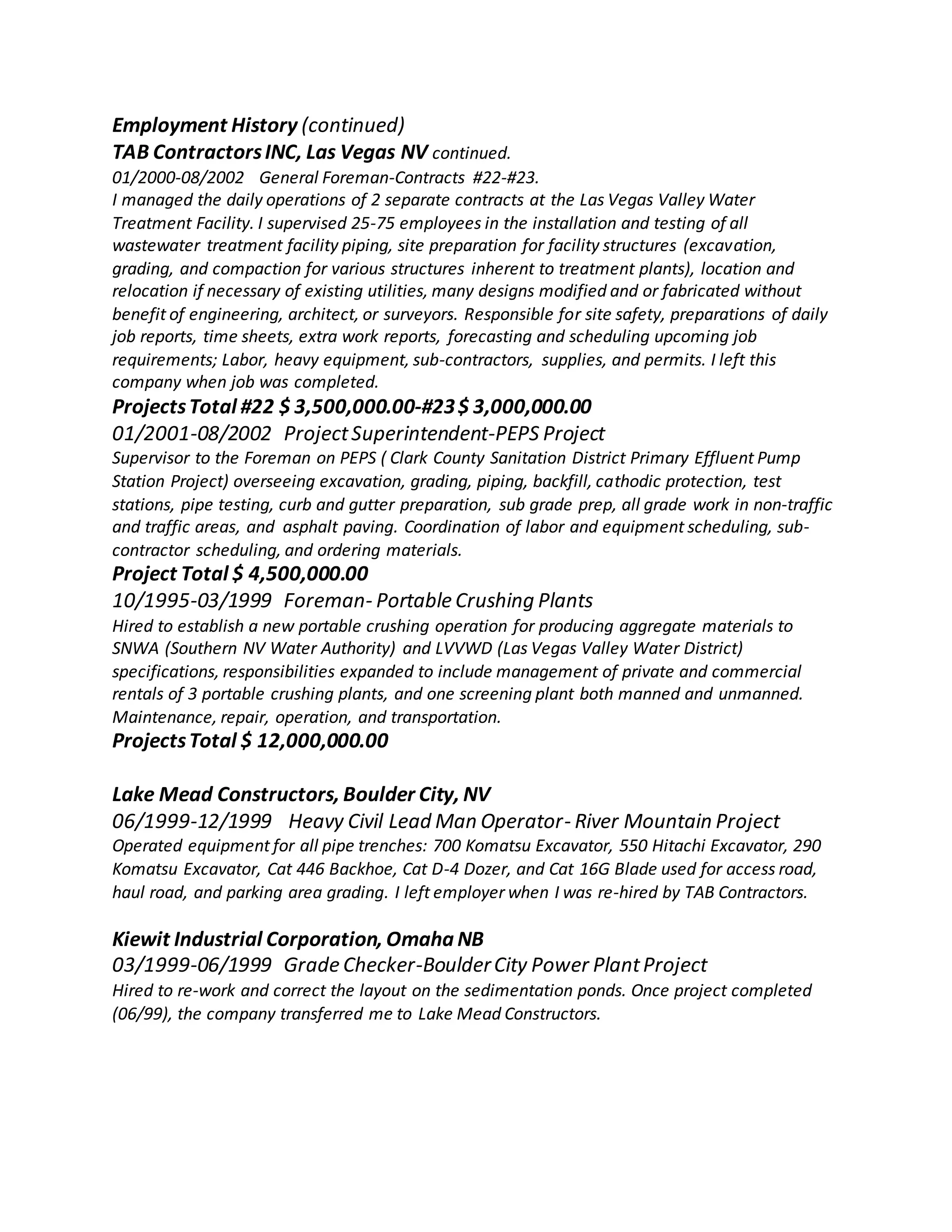 Michael Craig company resume | DOCX