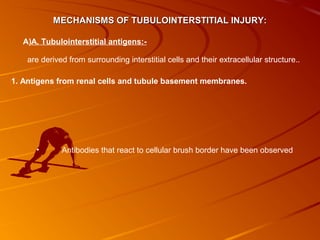 77. tubulointerstitial disease of kidney | PPT