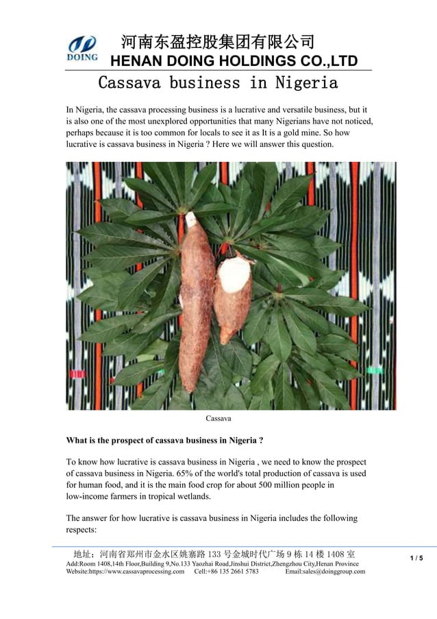 Cassava business in Nigeria | DOCX | Agriculture | Industries
