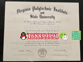 Virginia Polytechnic Institute and State University degree offer diploma Transcript | PDF