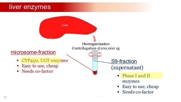 HAU SEMINAR 1 powerpoint - Copy