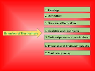 771503454-Lecture-1-HORT-111-Horticulture-Definition-and-Branches ...
