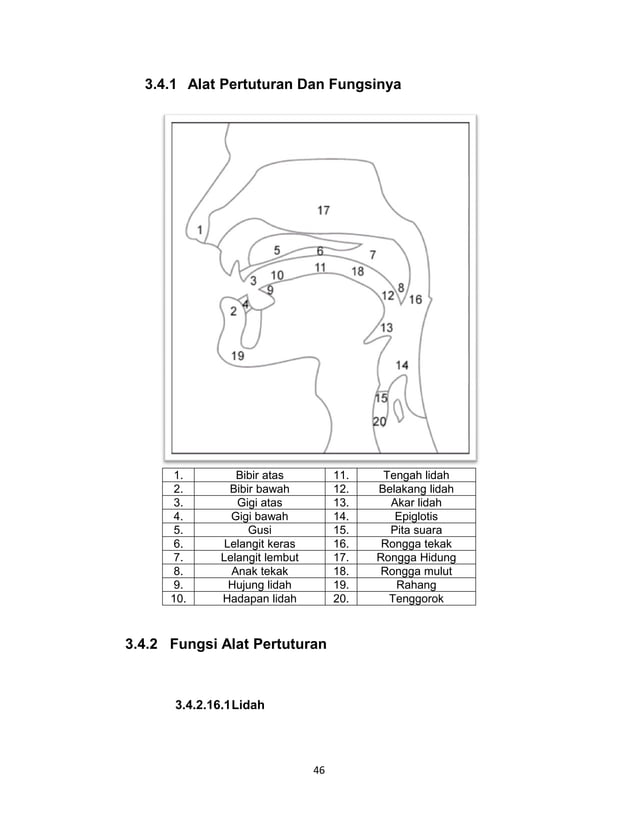 7729996 fonologi-bahasa-melayu | DOC