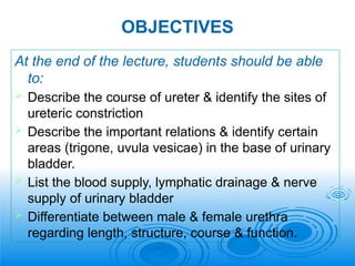 773684756-Lecture-2-Anatomy-of-Ureter-Urinary-Bladder-Urethra copy.pptx