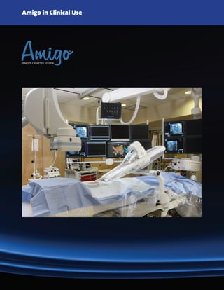 AmigoBrochure | PDF