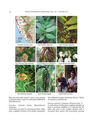 Ethnogynecological uses | PDF