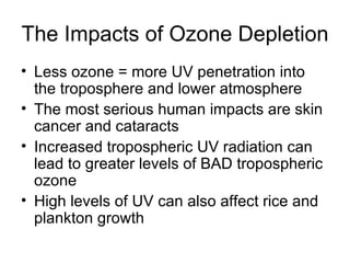 7.75 - Ozone Depletion | PPT