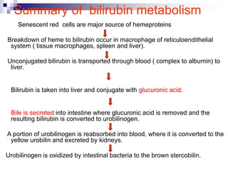 Heme degradation and jaundice.ppt