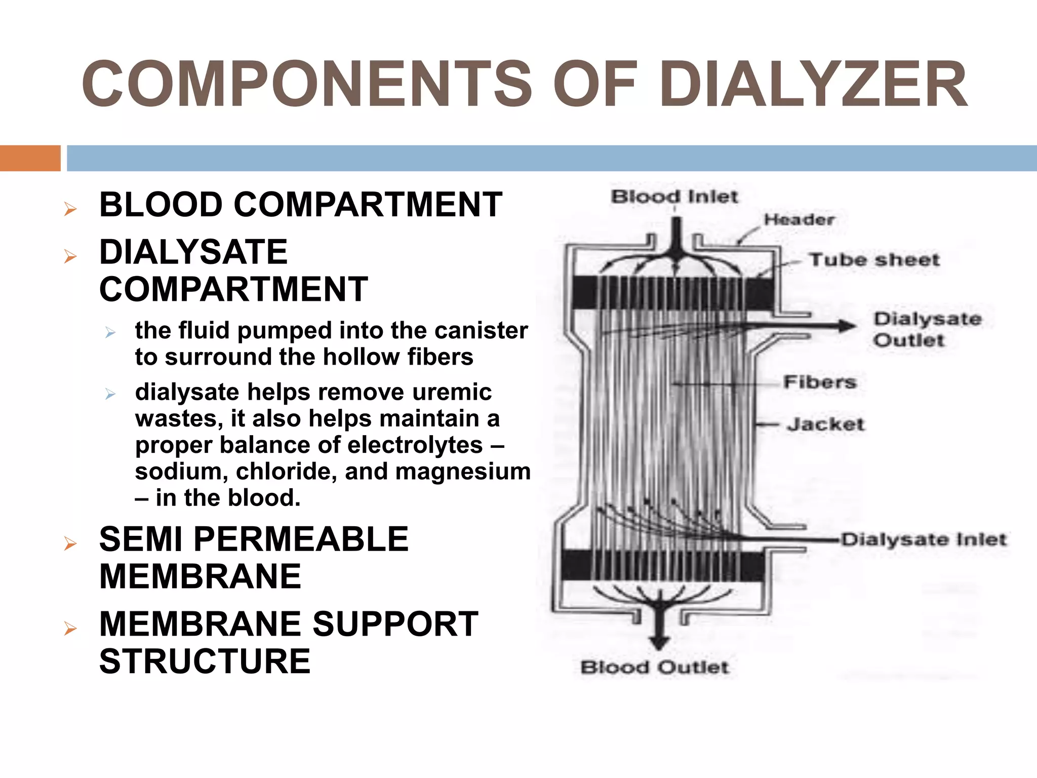 DIALYZER.ppt