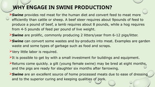 775420115-SWINE-PRODUCTION-AND-MANAGEMENT-Lec-1.pptx