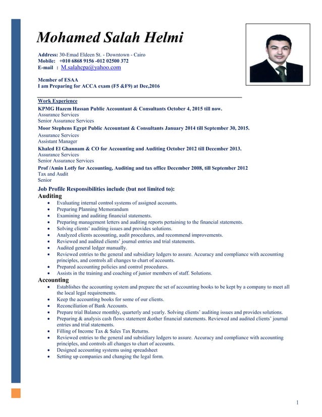 Mohamed salah CV | PDF