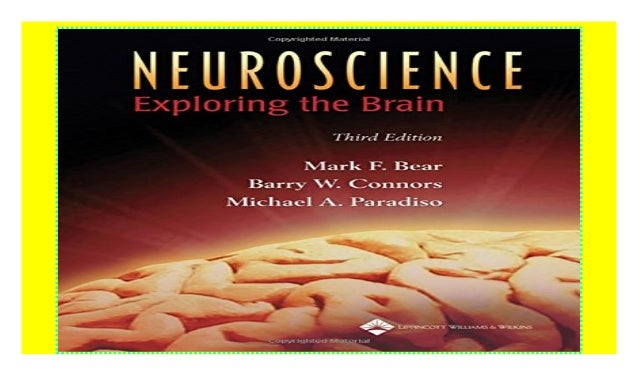 Neuroscience Exploring The Brain 2018 Ebook