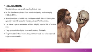 HUMAN EVOLUTION | PPTX