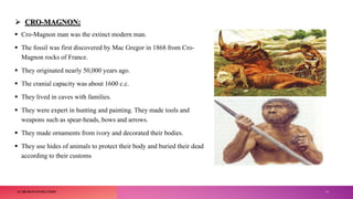 HUMAN EVOLUTION | PPTX | Geology | Science