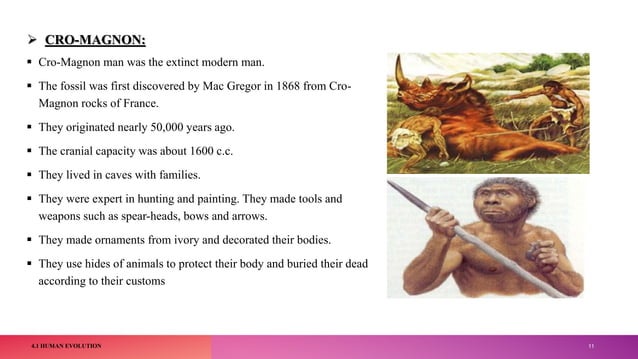 HUMAN EVOLUTION | PPTX | Geology | Science